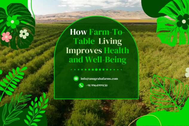 Best Managed Farmland in Bangalore | Invest in Sangam Farms